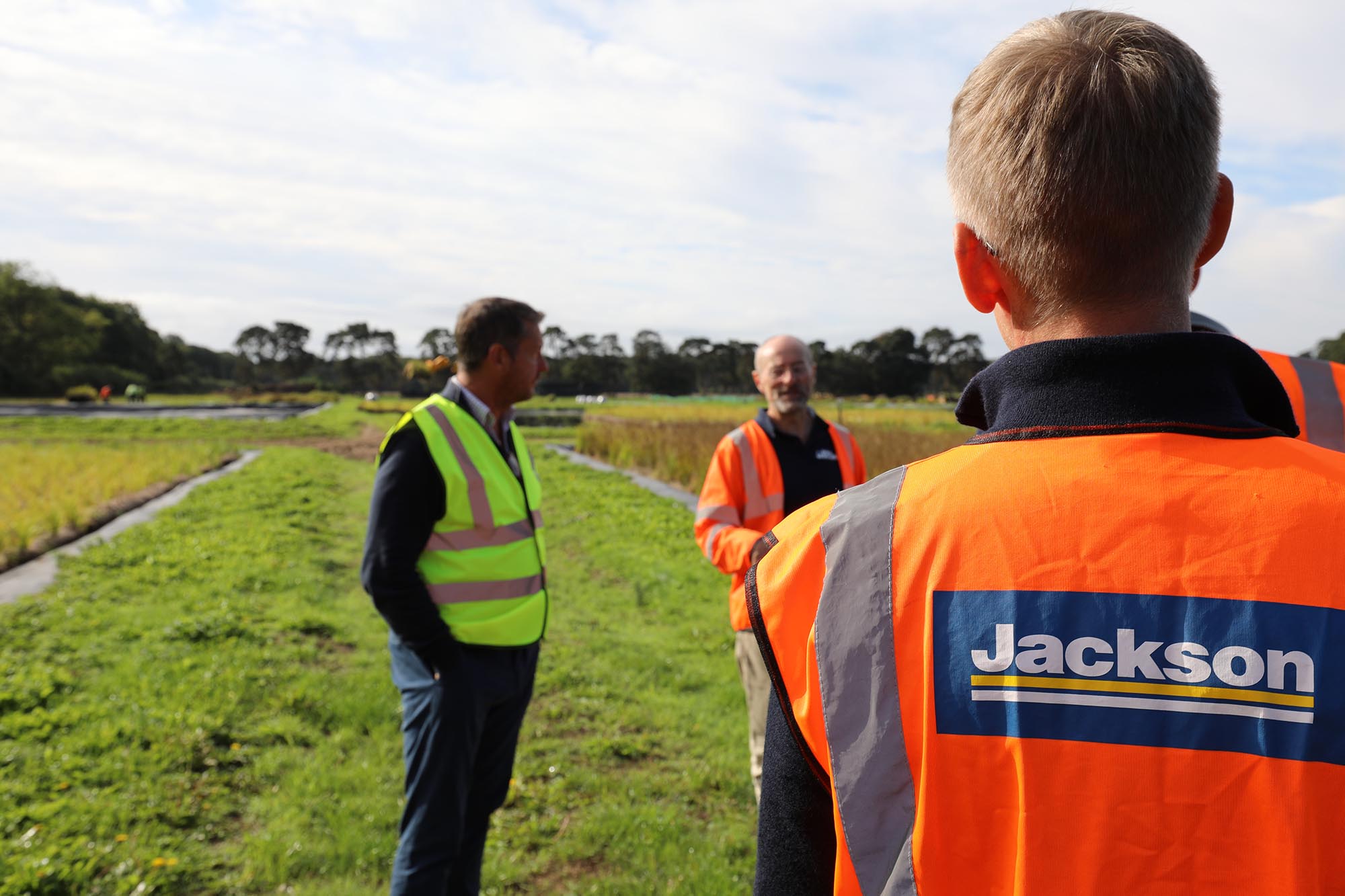 Video: Jackson team visits Salix’s wetland nursery – Jackson Civil ...